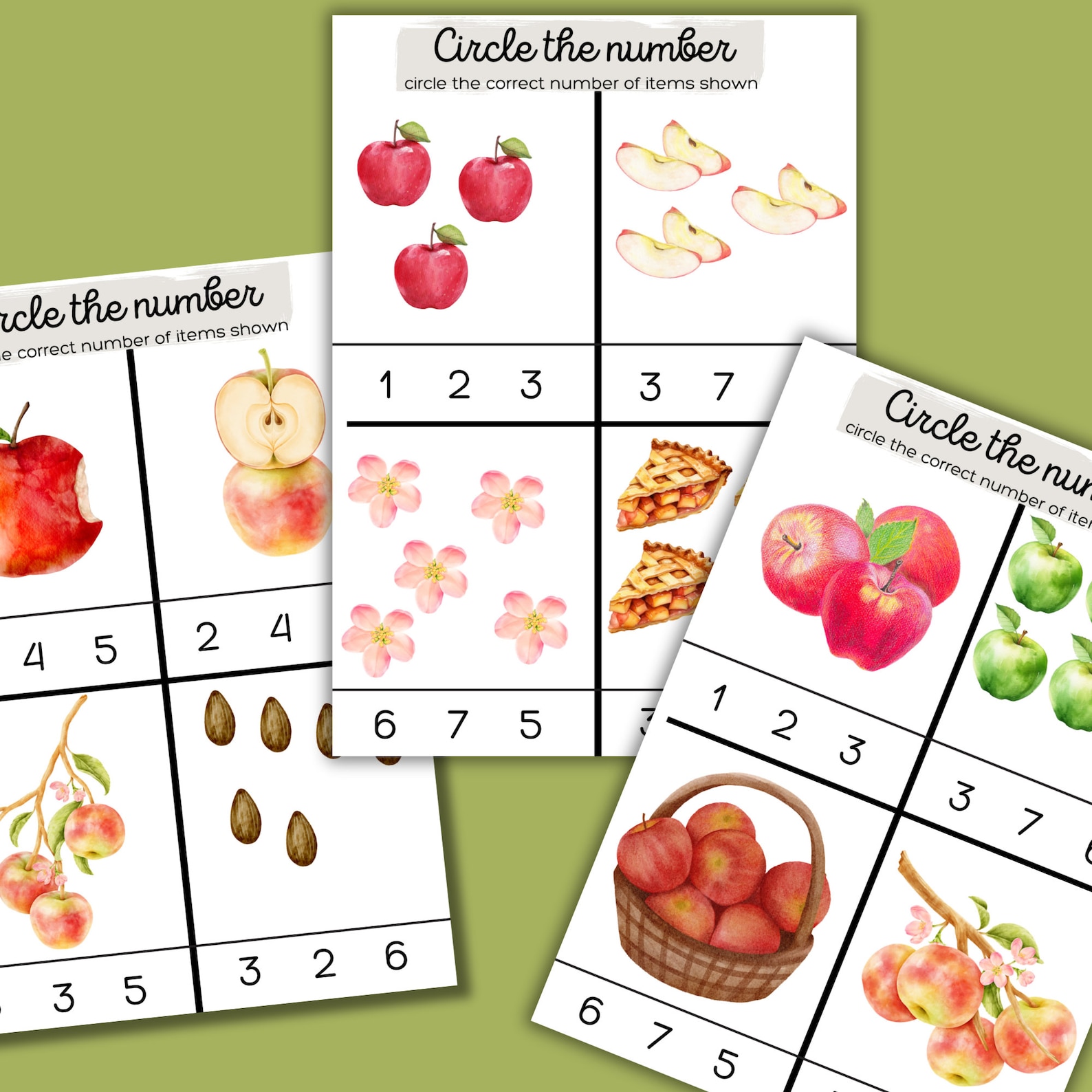 APPLE Mini Unit Study, Life Cycle, Anatomy, Nature Study, Science ...