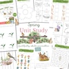 OWL Mini Unit Study, Life Cycle, Anatomy, Nature Study, Science ...