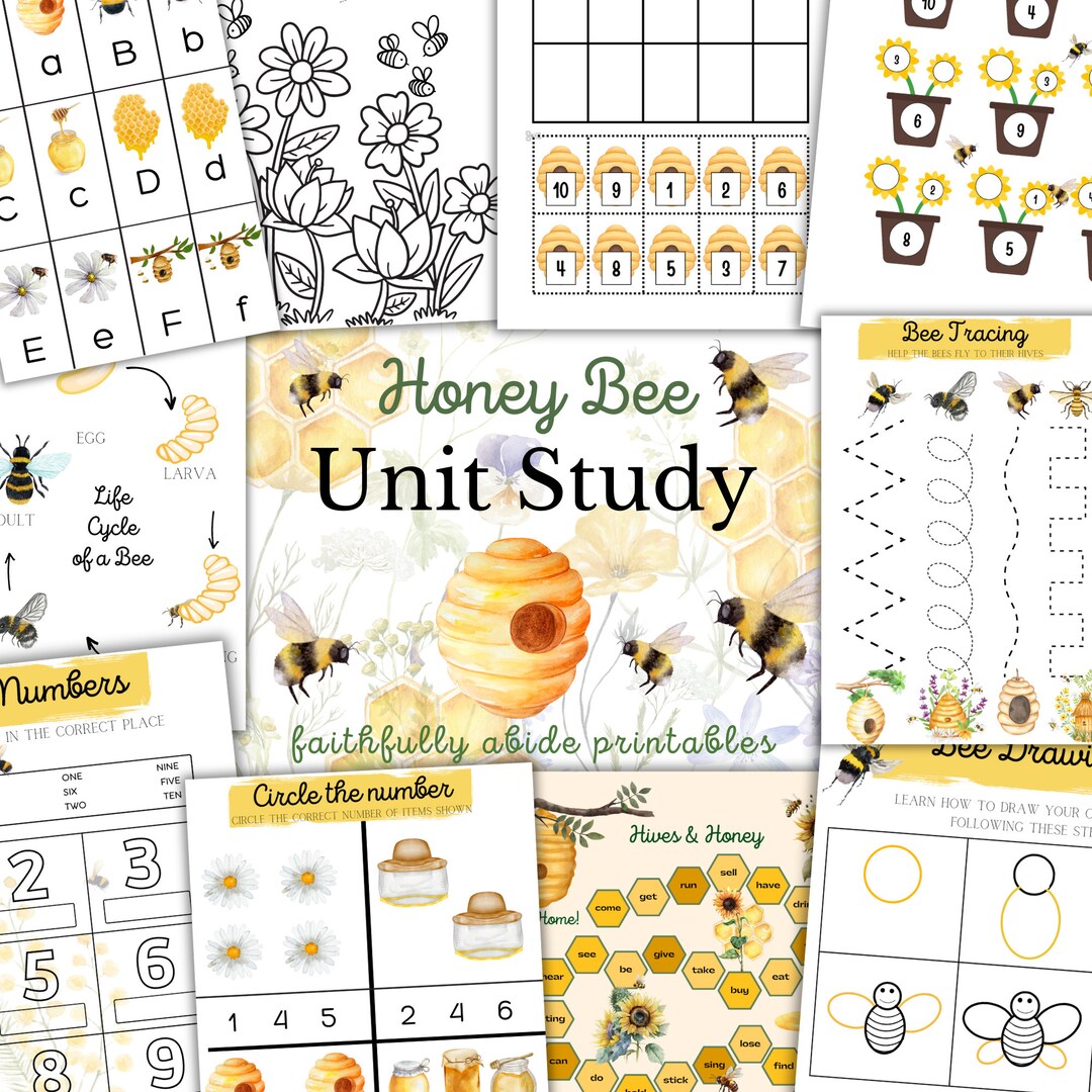 HONEY BEE Unit Study, Pre-k to 5th Grade, Life Cycle, Anatomy, Nature ...