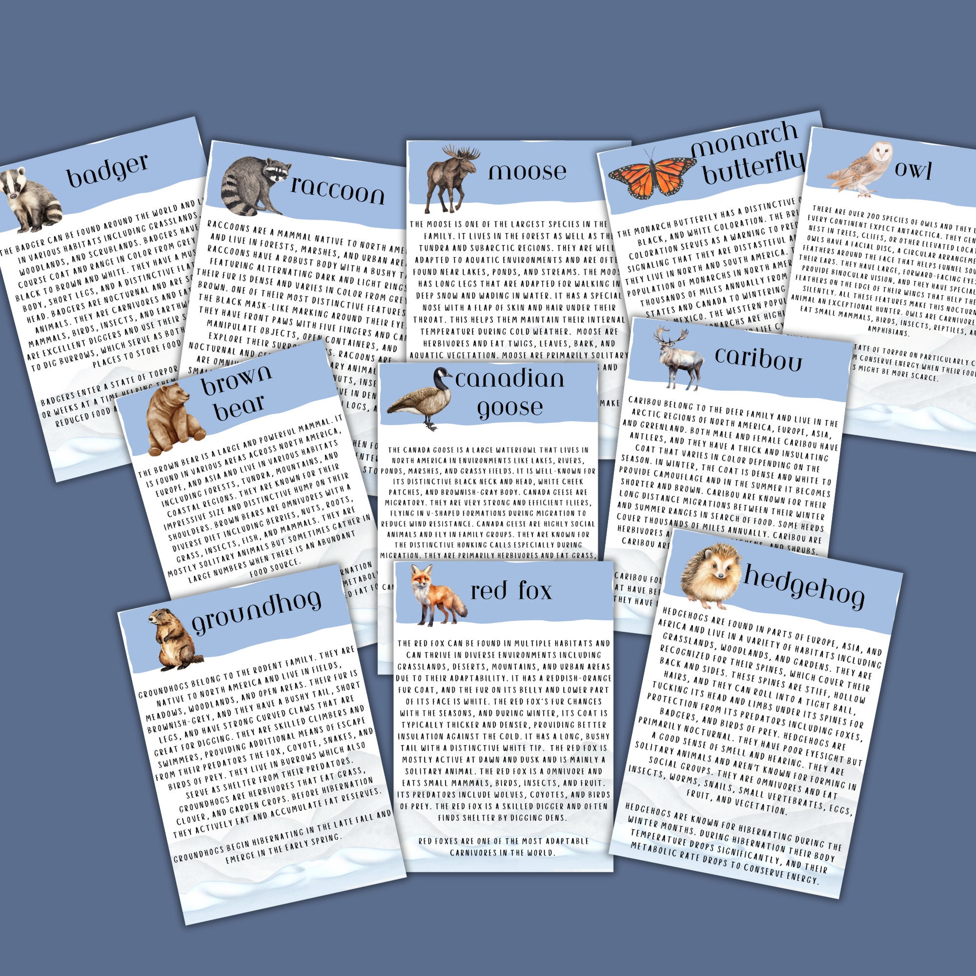 WINTER ANIMALS Unit Study, Vocabulary, Anatomy, Montessori, Homeschool ...