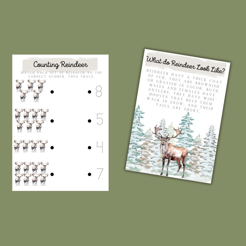 REINDEER Mini Unit Study, Life Cycle, Anatomy, Nature Study, Homeschool ...