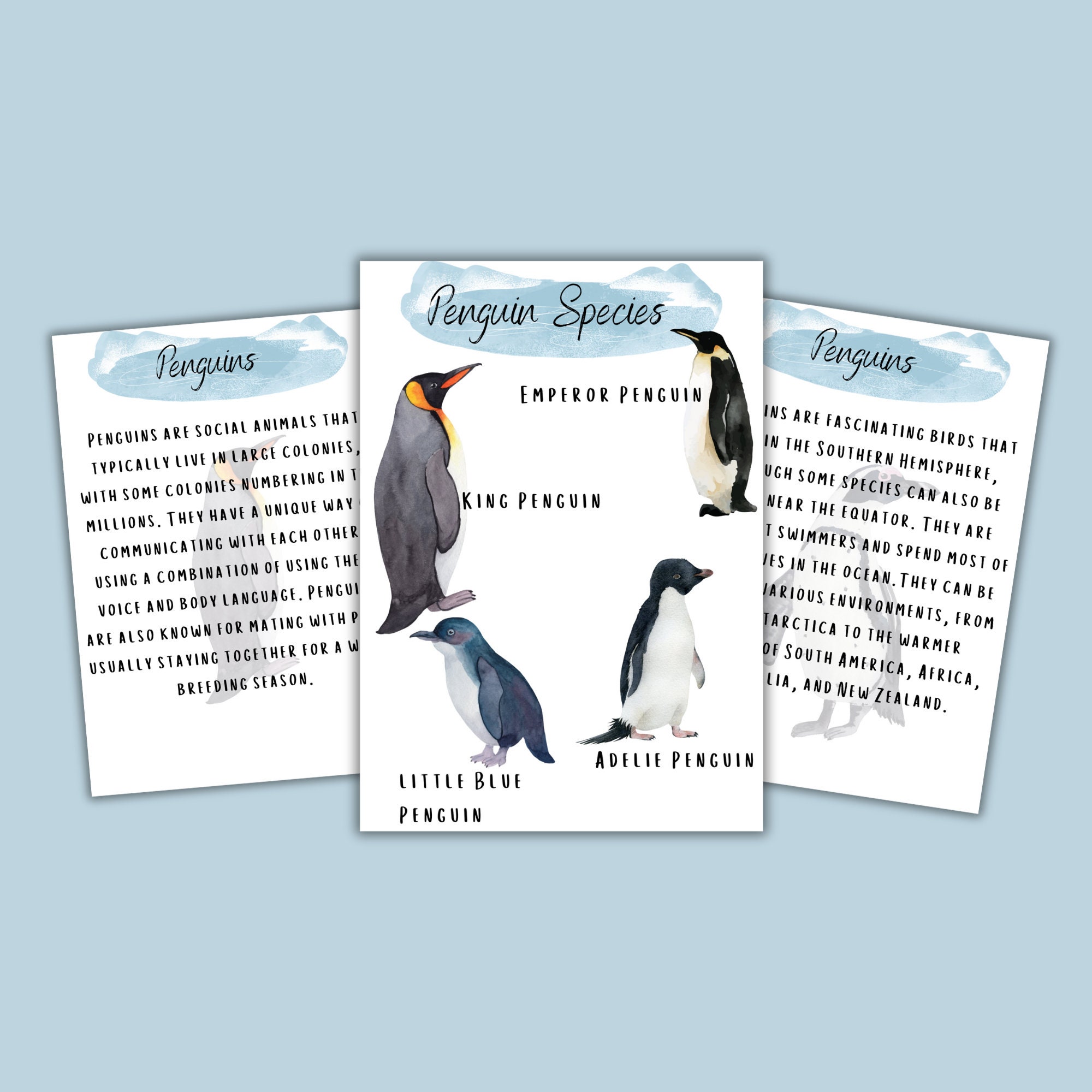 POLAR BEARS and PENGUINS Unit Study, Life Cycle, Montessori, Homeschool ...