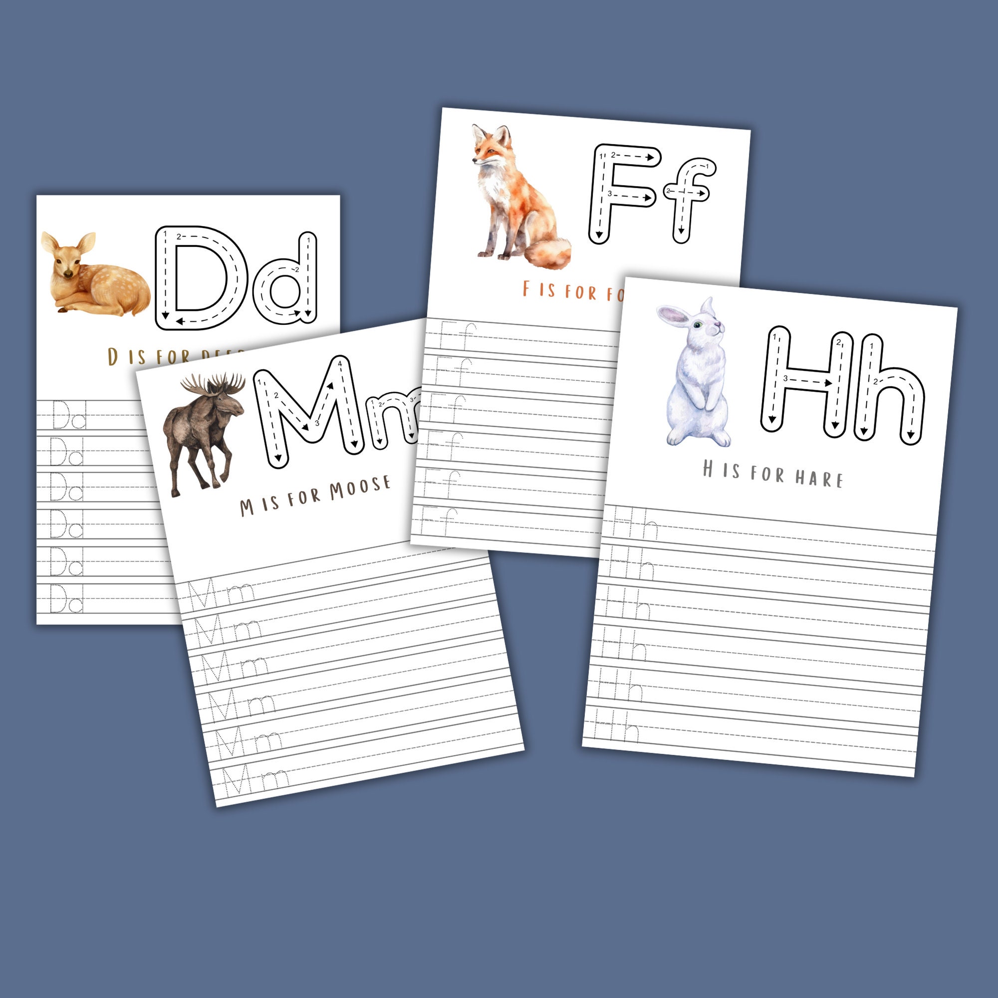 WINTER ANIMALS Unit Study, Vocabulary, Anatomy, Montessori, Homeschool ...