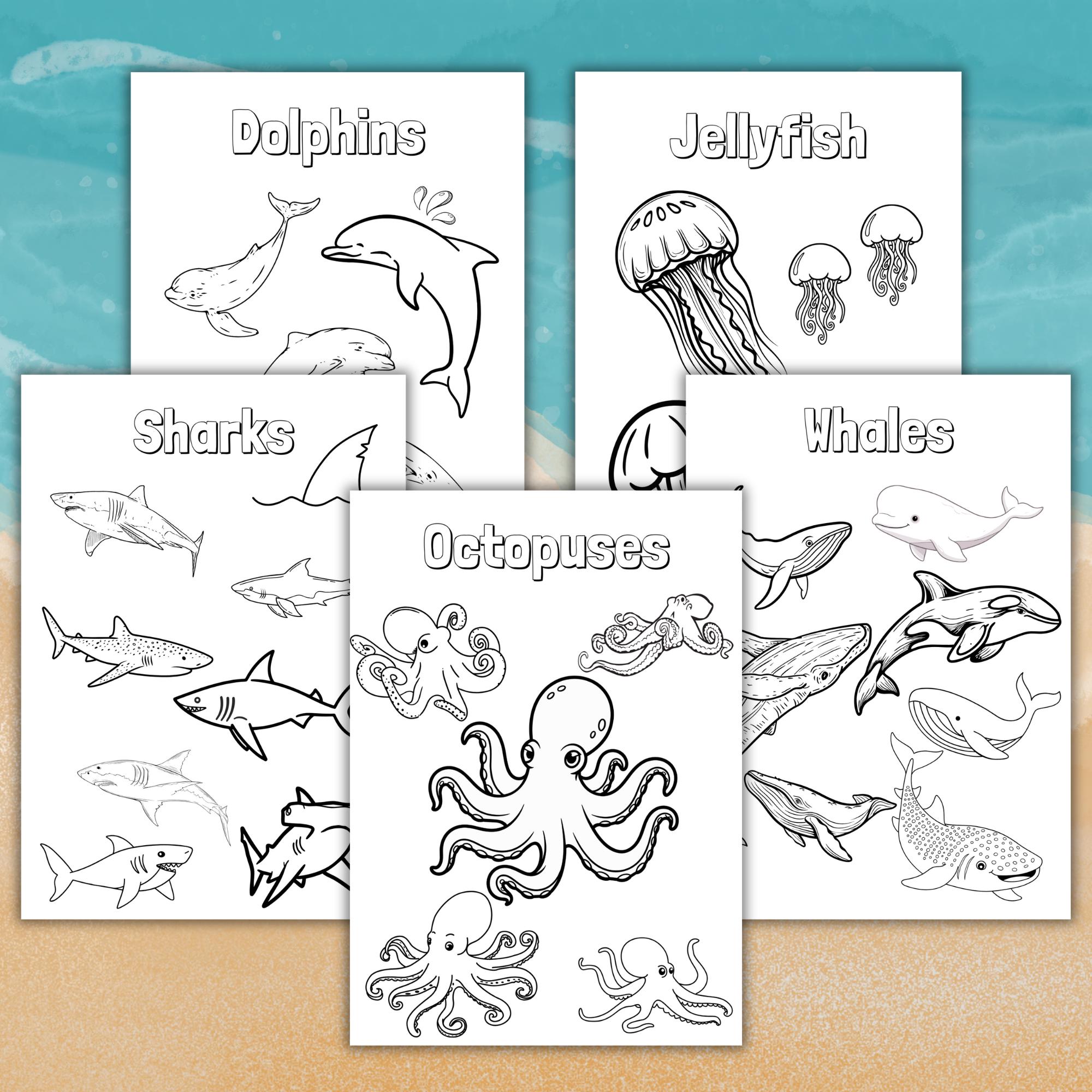 OCEAN Unit Study, Vocabulary, Anatomy, Montessori, Homeschool Printable ...