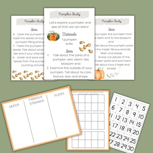 PUMPKIN Unit Study, Life Cycle, Anatomy, Nature Study, Science ...