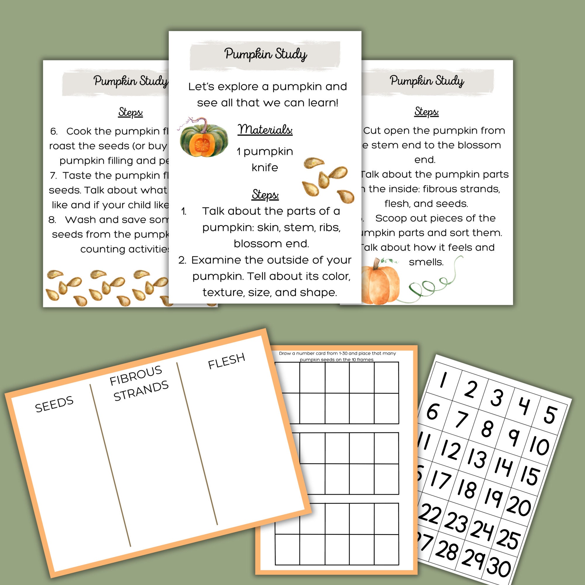 PUMPKIN Unit Study, Life Cycle, Anatomy, Nature Study, Science ...