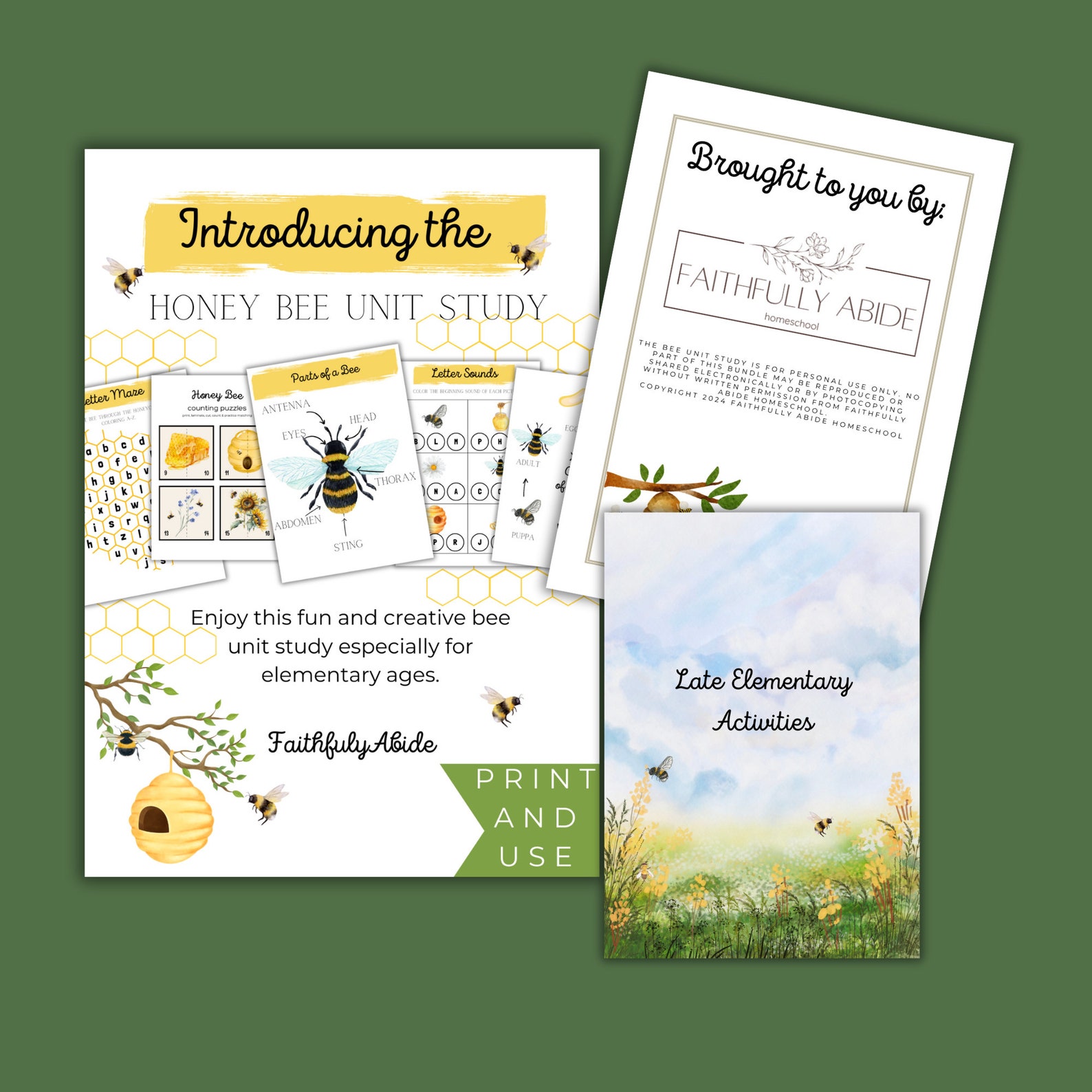 HONEY BEE Unit Study, 2nd to 5th Grade, Life Cycle, Anatomy, Nature ...