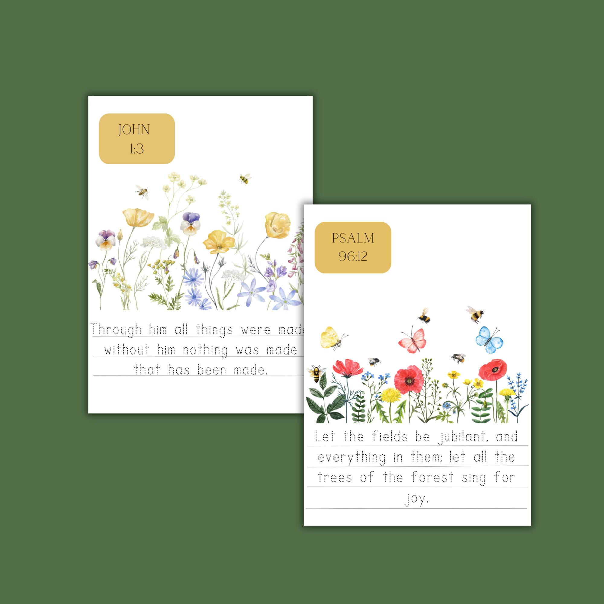 HONEY BEE Unit Study, 2nd to 5th Grade, Life Cycle, Anatomy, Nature ...