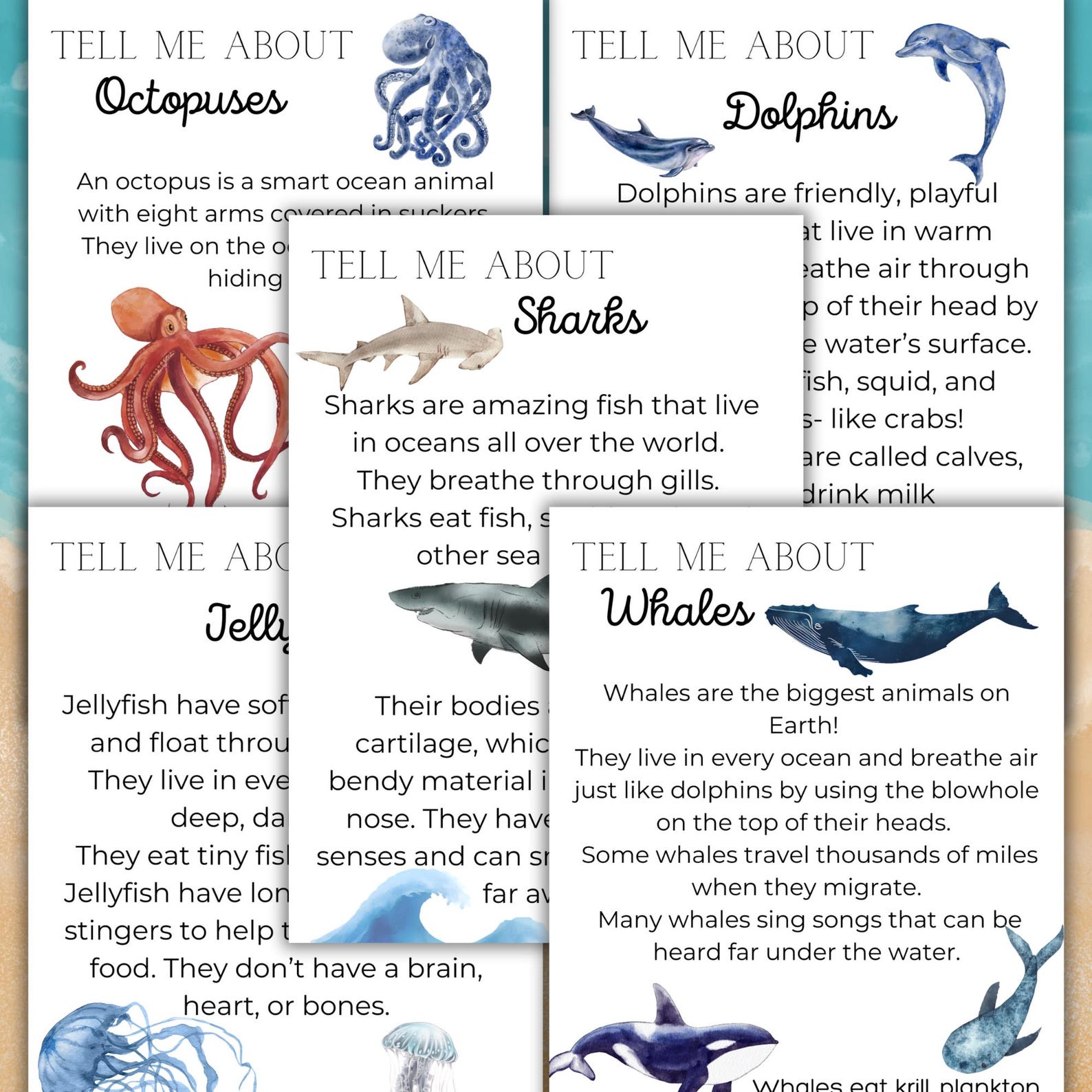 OCEAN Unit Study, Vocabulary, Anatomy, Montessori, Homeschool Printable ...