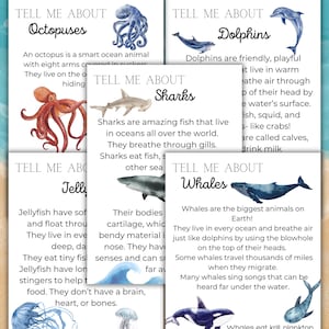 OCEAN Unit Study, Vocabulary, Anatomy, Montessori, Homeschool Printable ...