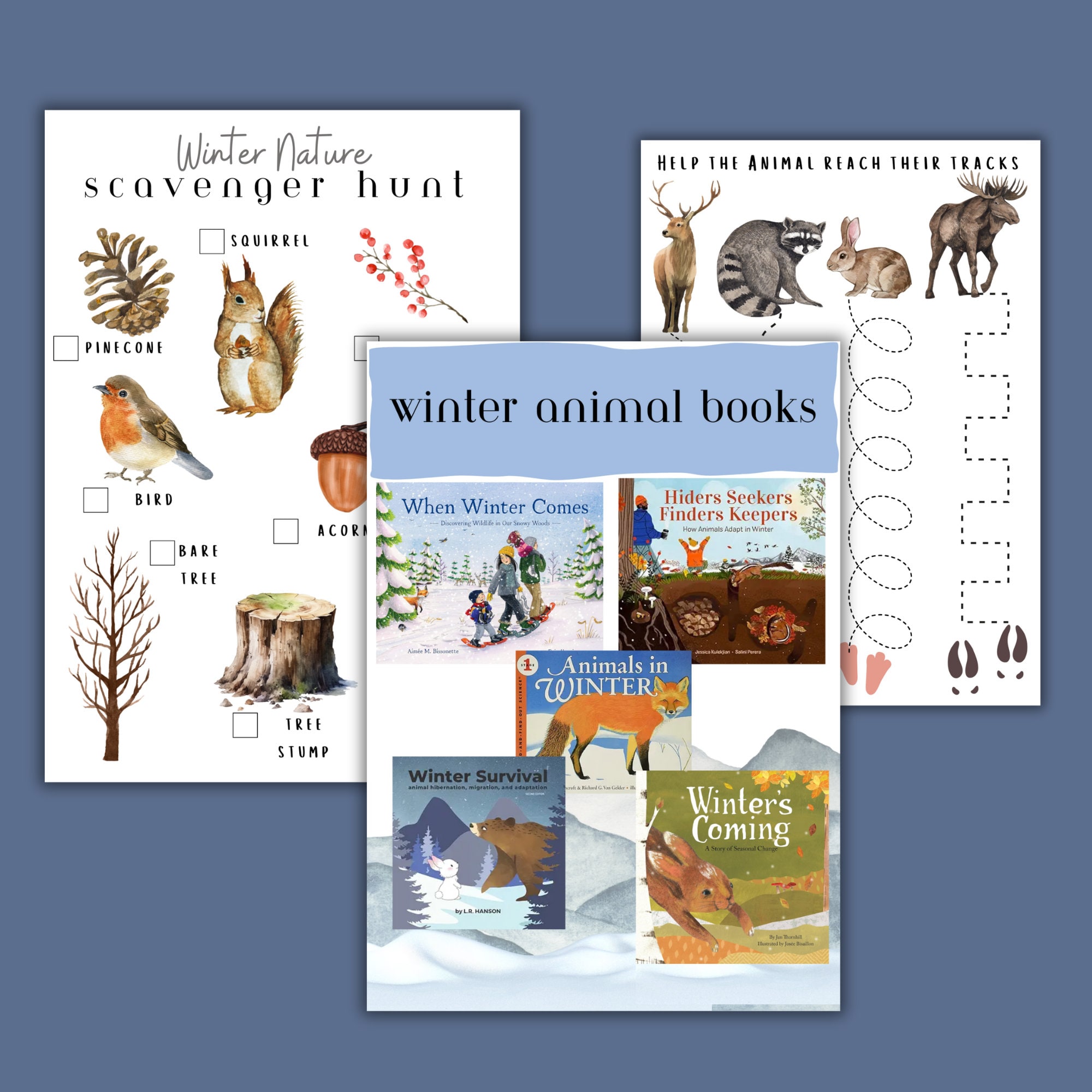 WINTER ANIMALS Unit Study, Vocabulary, Anatomy, Montessori, Homeschool ...