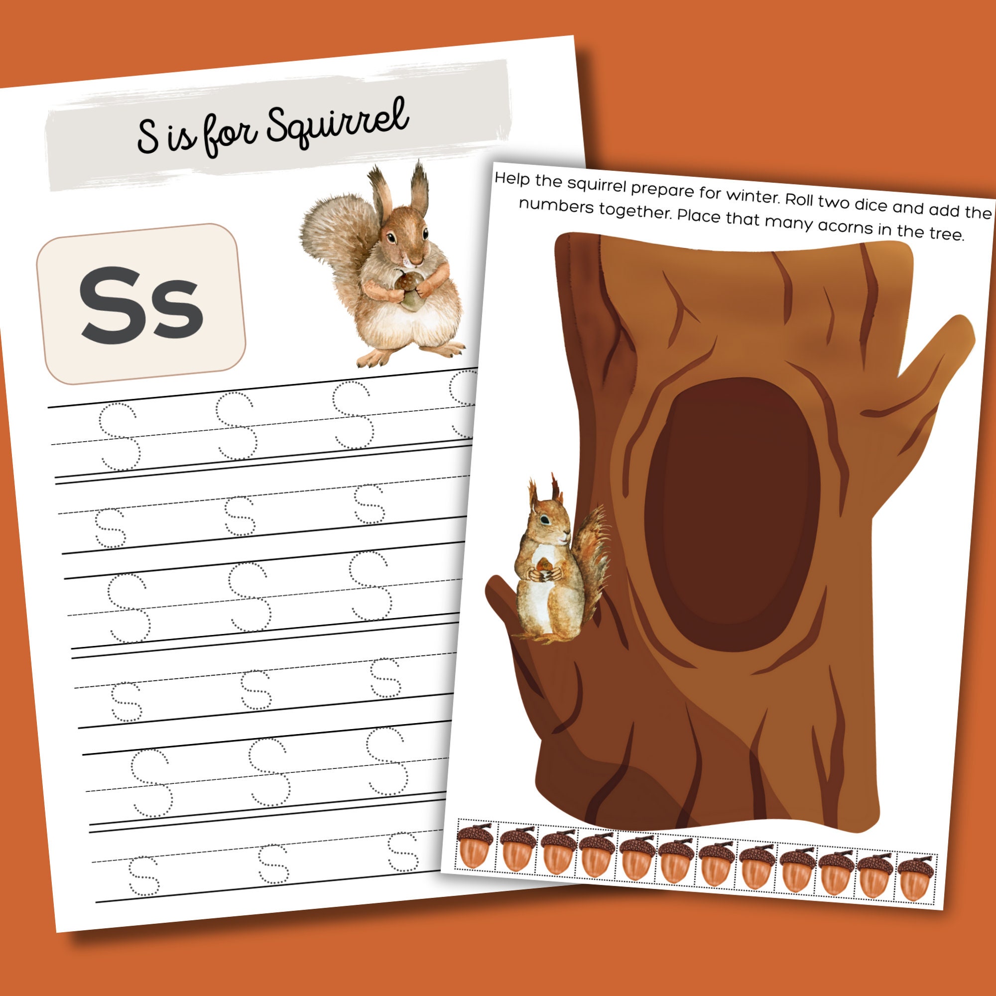 SQUIRREL Mini Unit Study, Life Cycle, Anatomy, Nature Study, Science ...