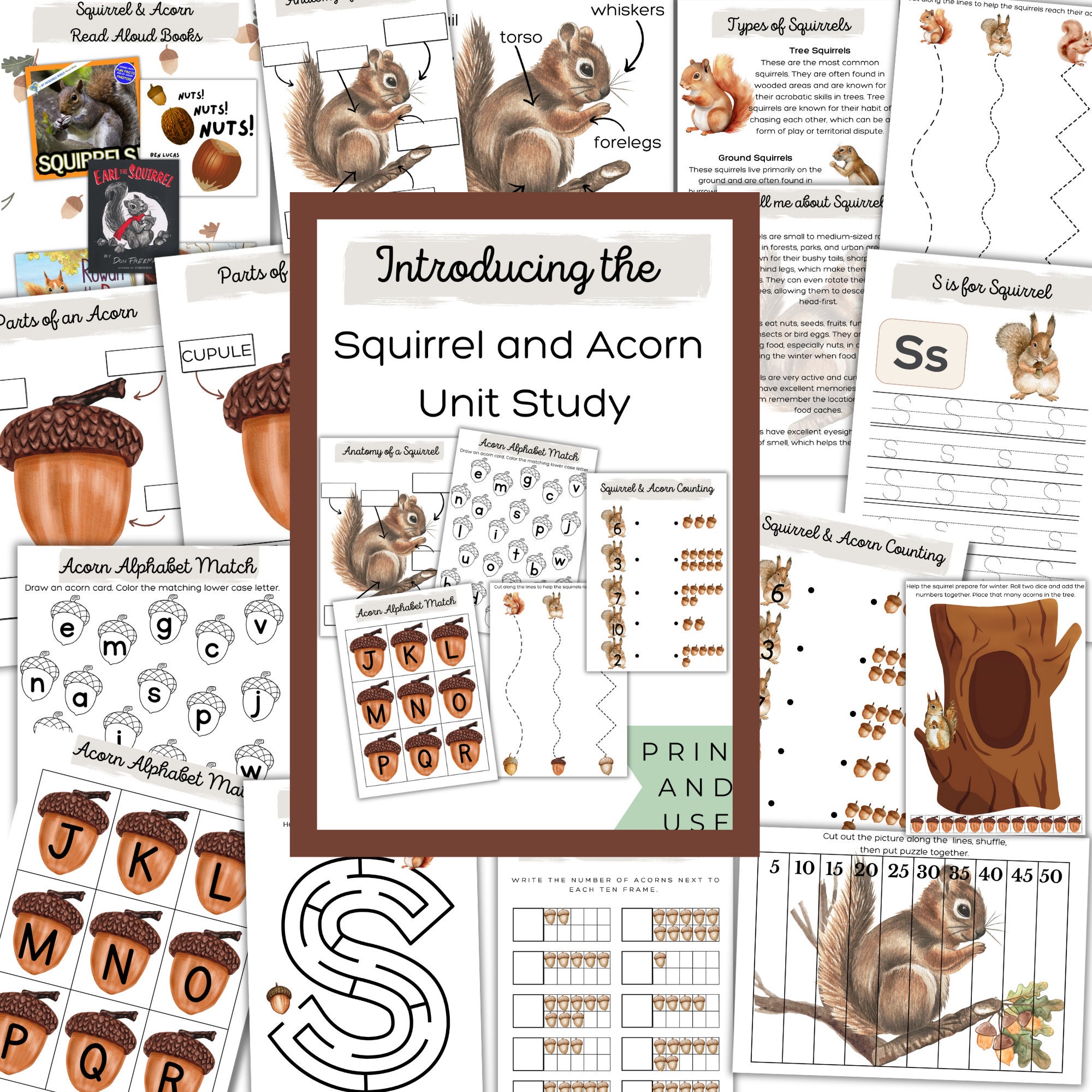 FALL Unit Study, Life Cycle, Anatomy, Nature Study, Science ...