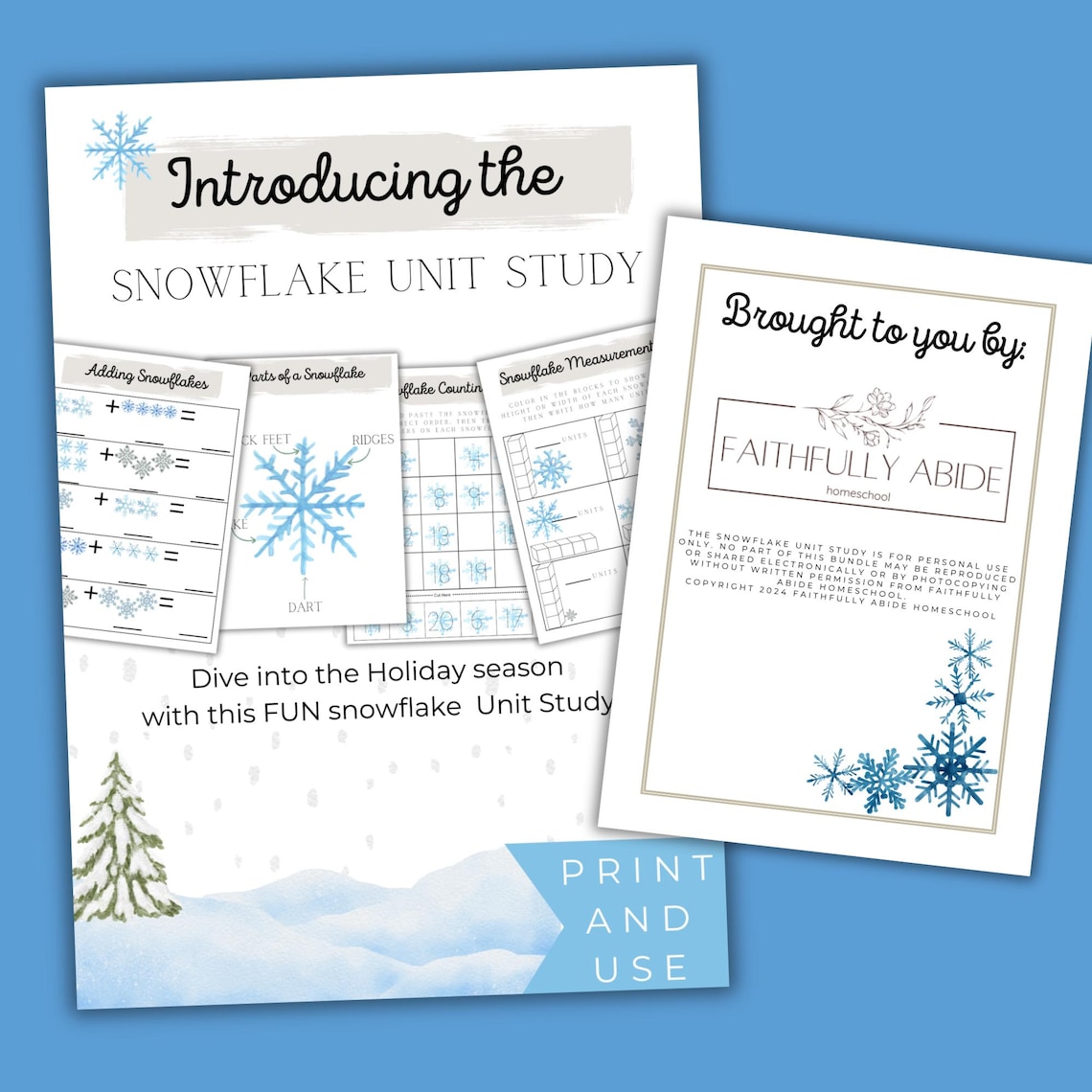 SNOWFLAKE Mini Unit Study, Christmas Printable Worksheets, Homeschool ...