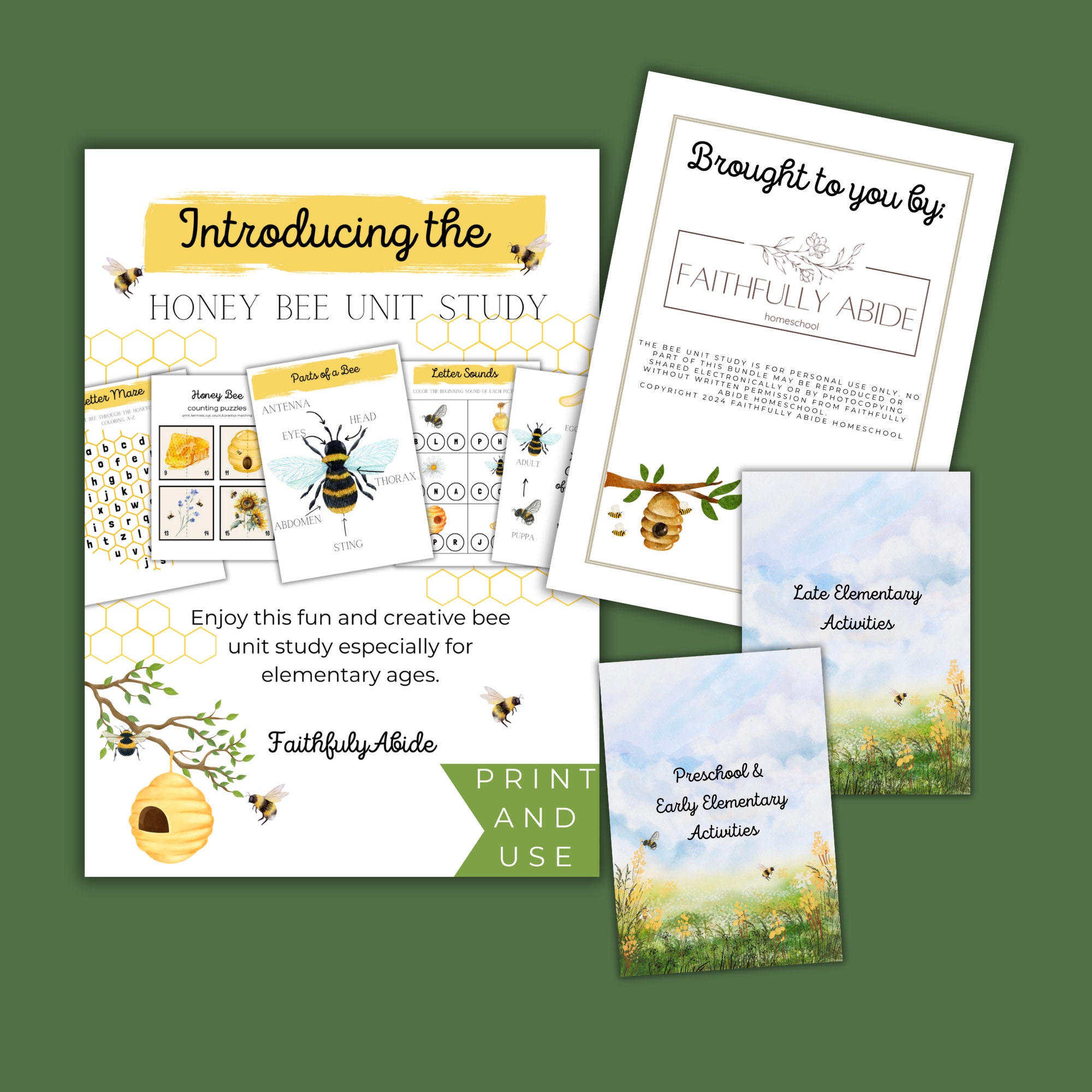 HONEY BEE Unit Study, Pre-k to 5th Grade, Life Cycle, Anatomy, Nature ...