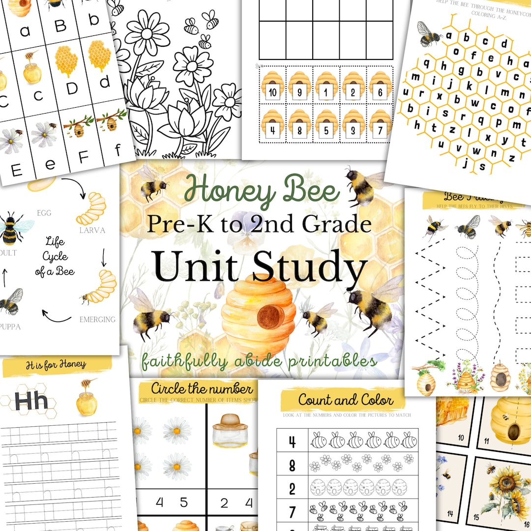 HONEY BEE Unit Study, Pre-k to 2nd Grade, Life Cycle, Anatomy, Nature ...