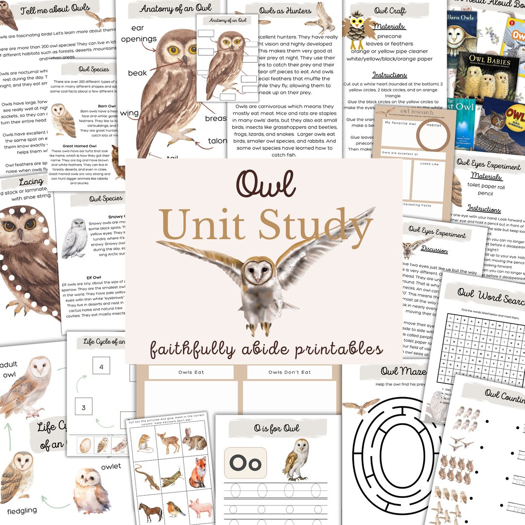 OWL Mini Unit Study, Life Cycle, Anatomy, Nature Study, Science ...