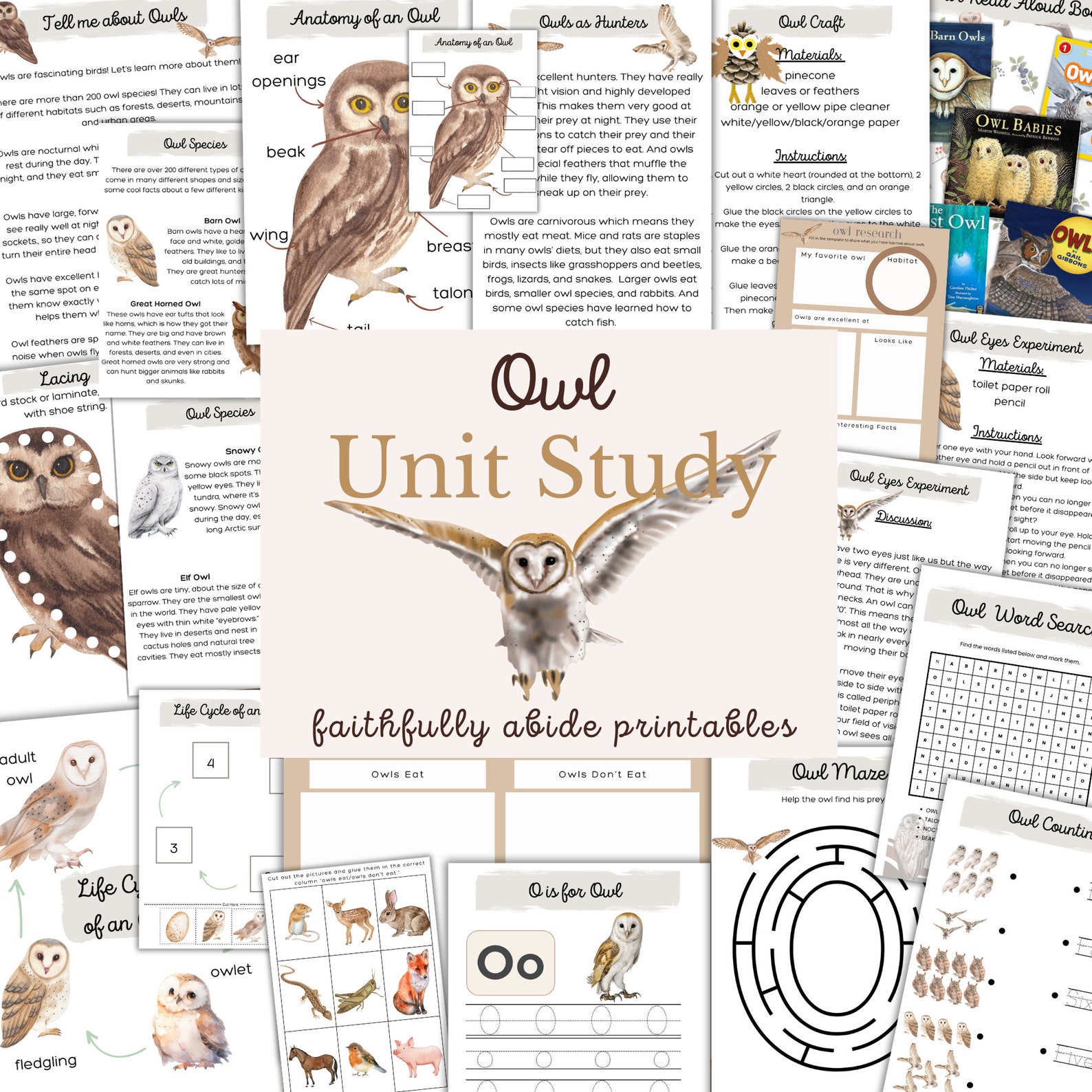OWL Mini Unit Study, Life Cycle, Anatomy, Nature Study, Science ...