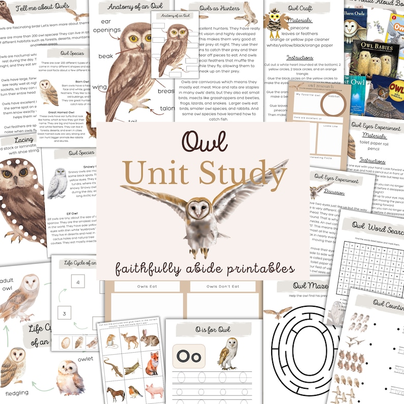 OWL Mini Unit Study, Life Cycle, Anatomy, Nature Study, Science ...
