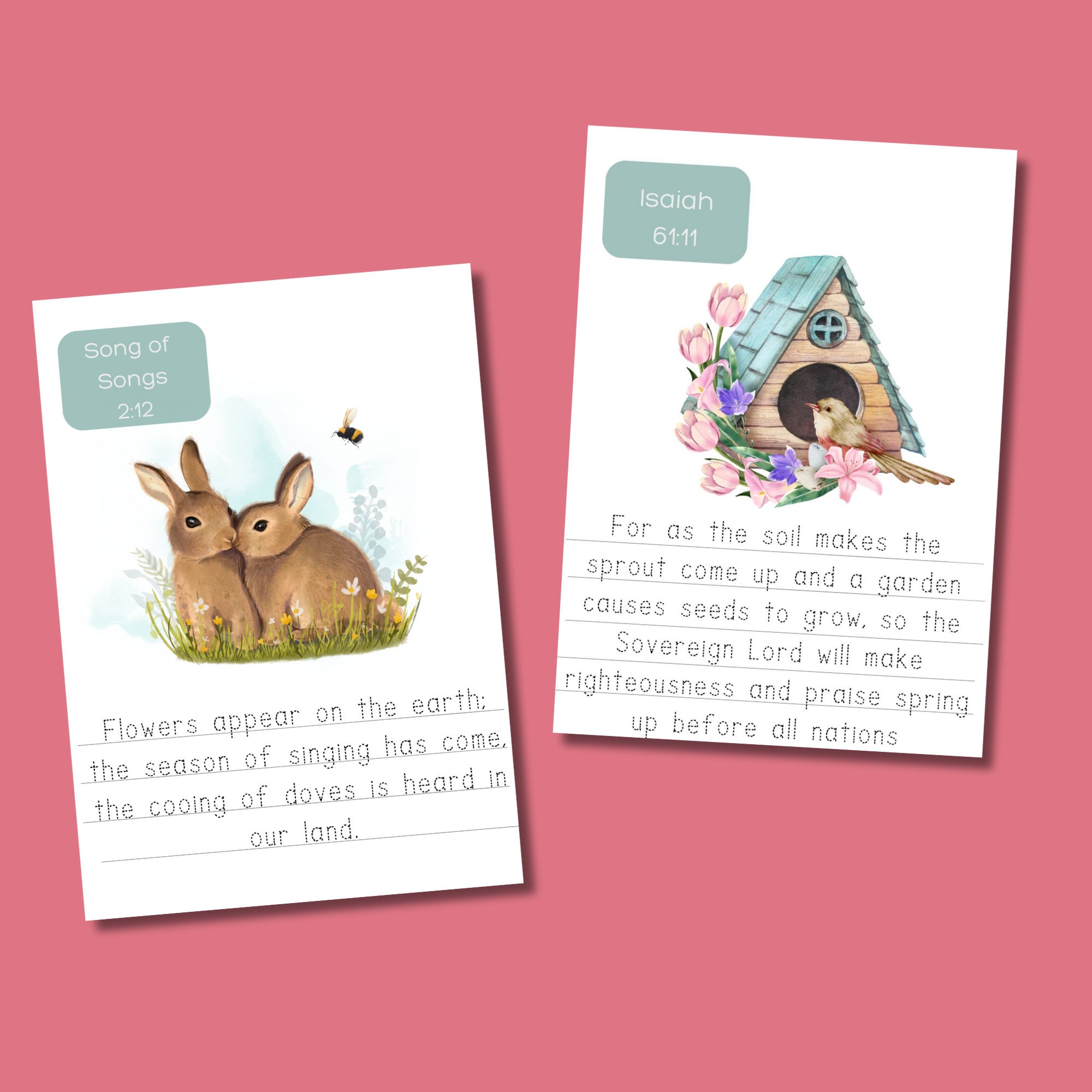 SPRING Mini Unit Study, Spring Activities, Science, 4 Seasons ...