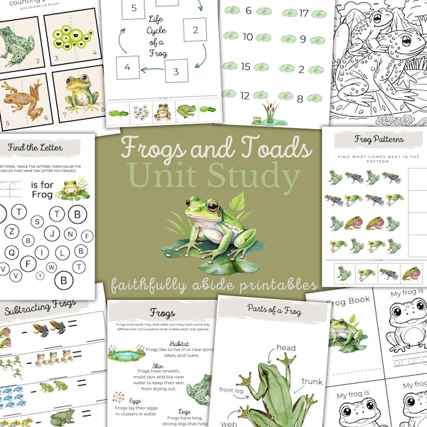Frog Life Cycle - Etsy
