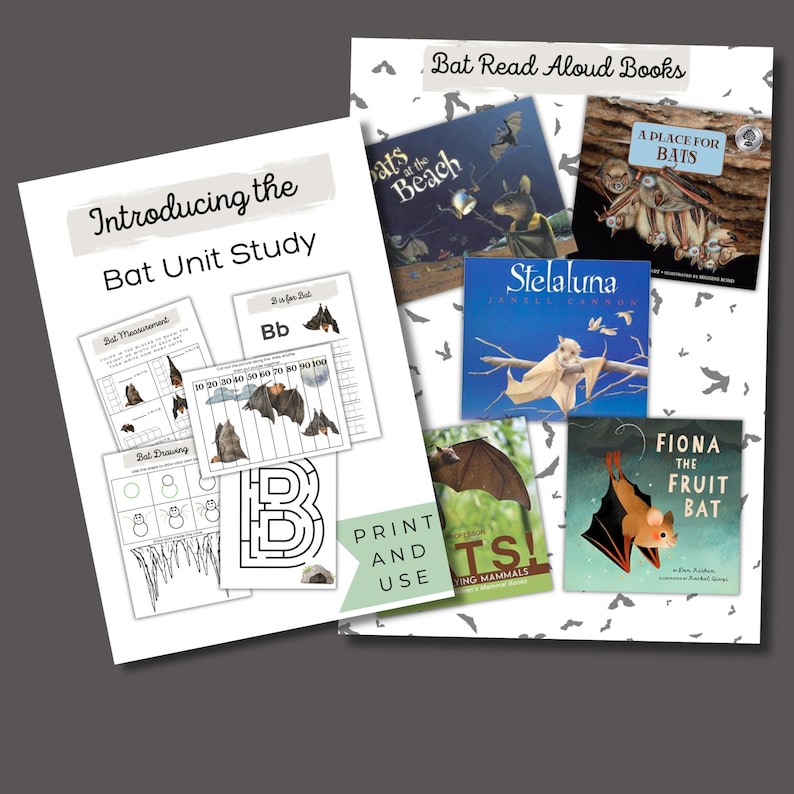 BATS Mini Unit Study, Life Cycle, Anatomy, Nature Study, Bat Study ...
