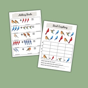 BIRD Mini Unit Study, Bird Activities, Numbers, Nature Study ...