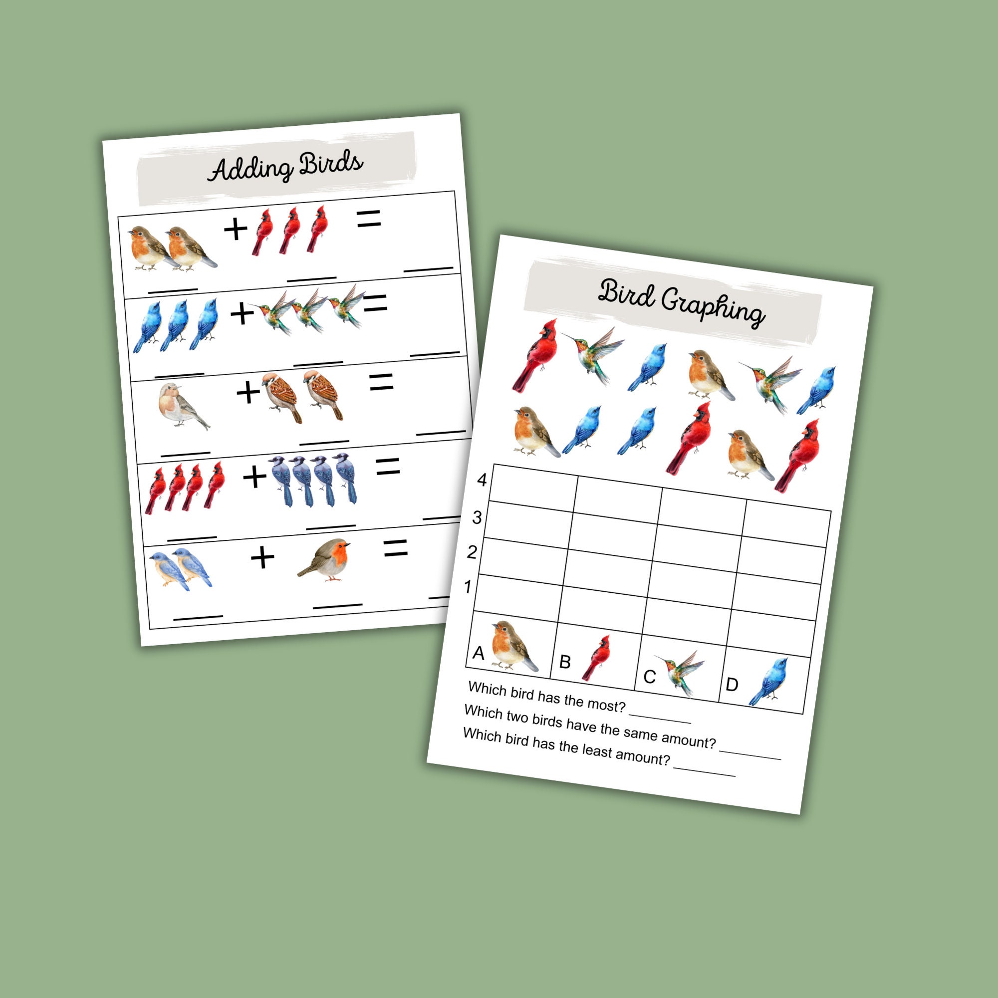 BIRD Mini Unit Study, Bird Activities, Numbers, Nature Study ...