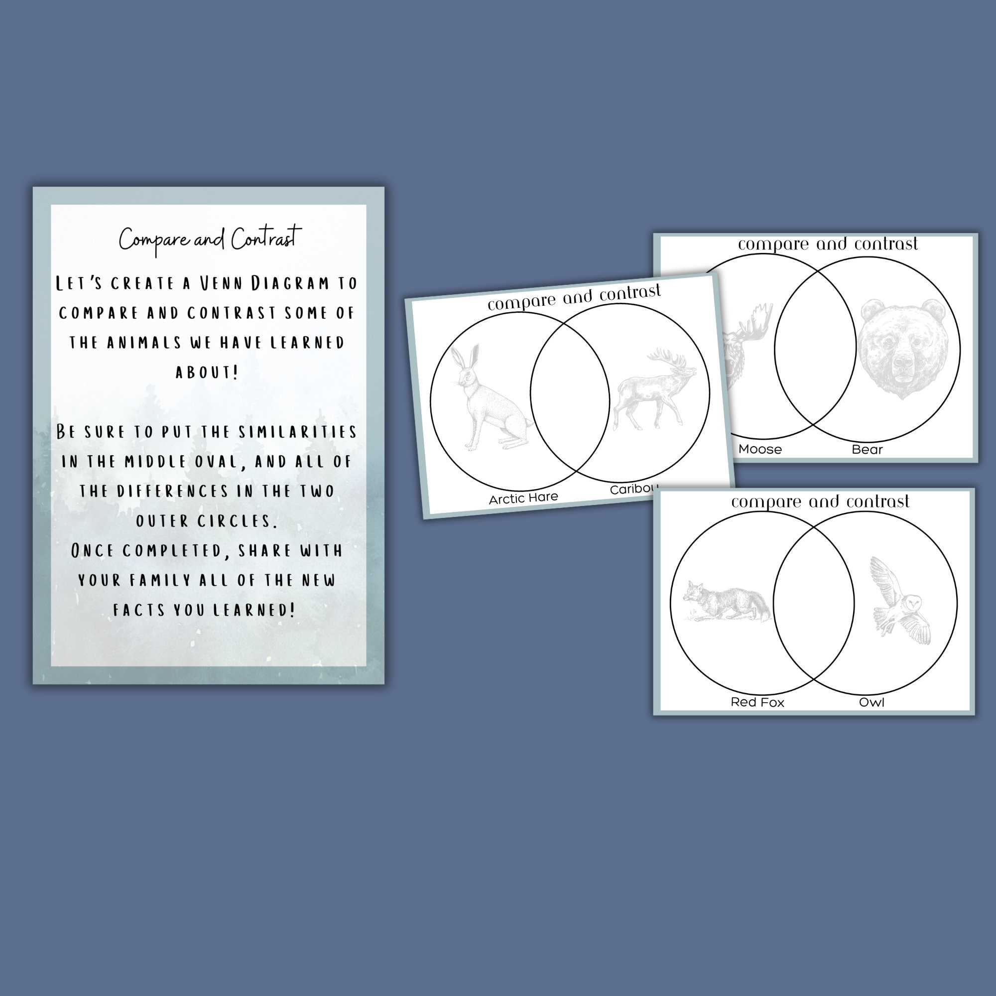 WINTER ANIMALS Unit Study, Vocabulary, Anatomy, Montessori, Homeschool ...