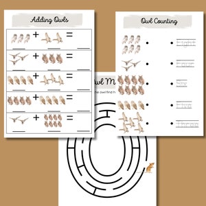 OWL Mini Unit Study, Life Cycle, Anatomy, Nature Study, Science ...