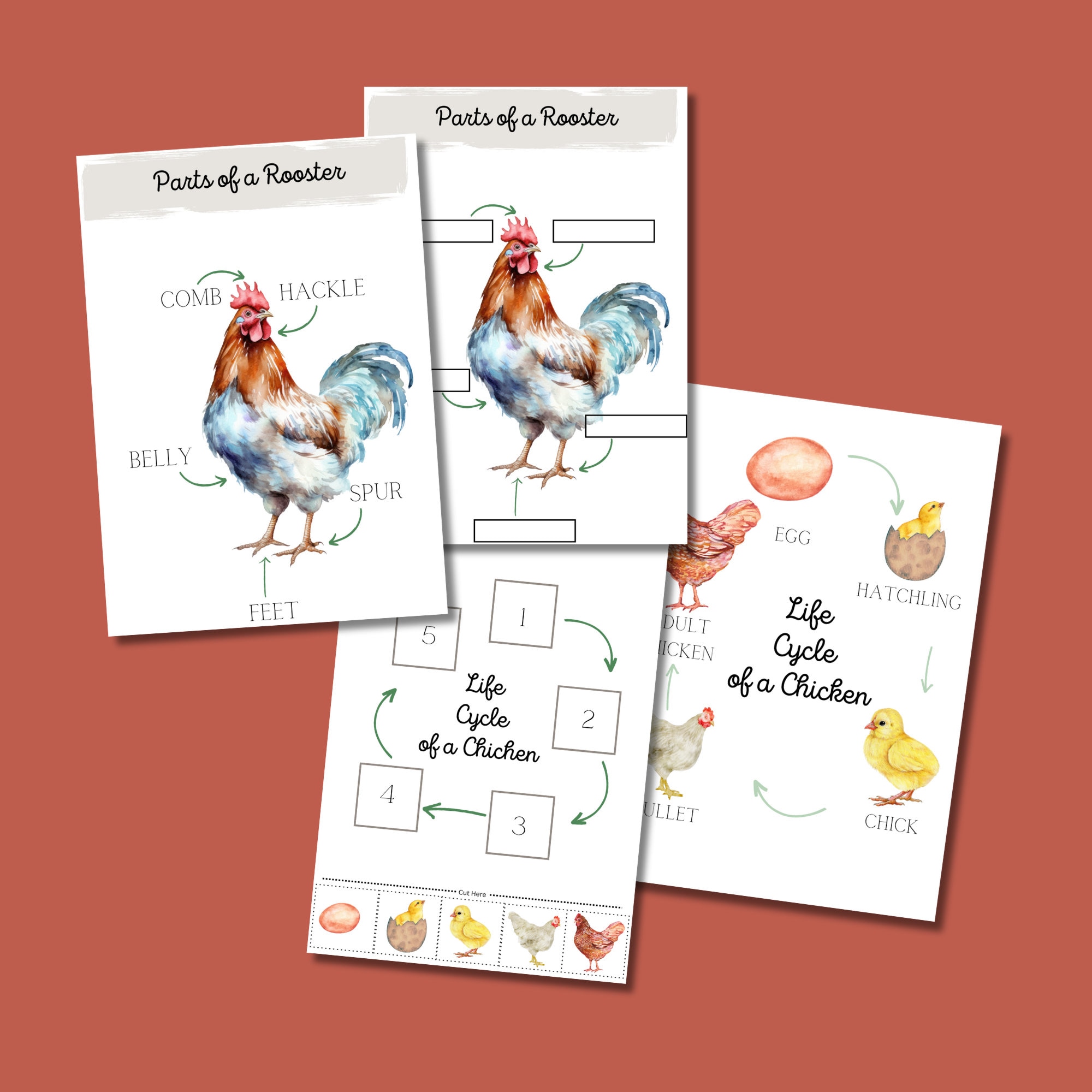 FARM Unit Study, Vocabulary, Anatomy, Montessori, Homeschool Printable ...