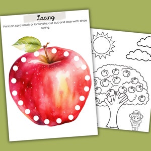 APPLE Mini Unit Study, Life Cycle, Anatomy, Nature Study, Science ...