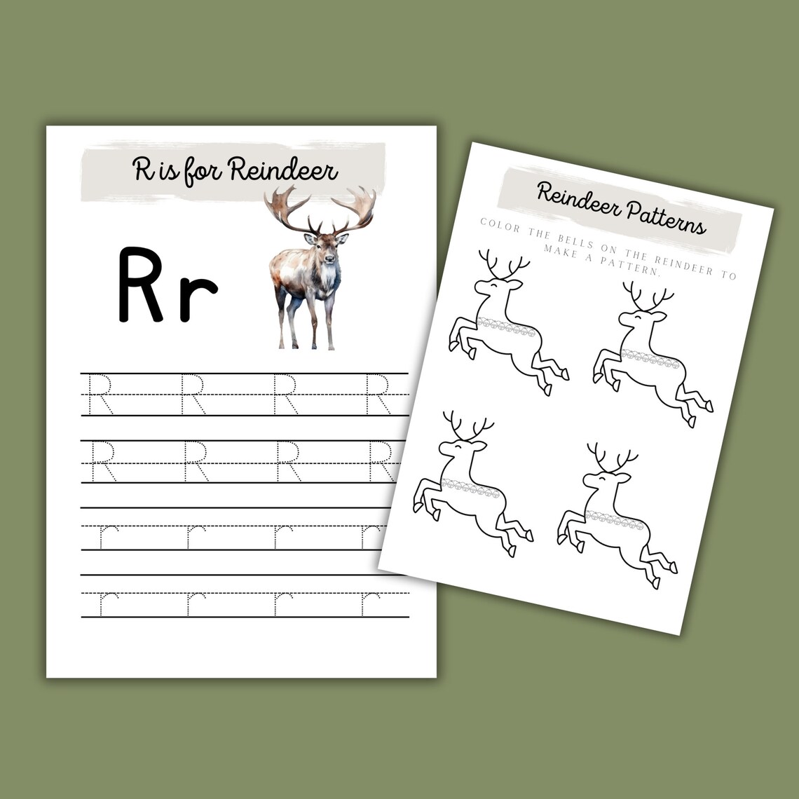 REINDEER Mini Unit Study, Life Cycle, Anatomy, Nature Study, Homeschool ...