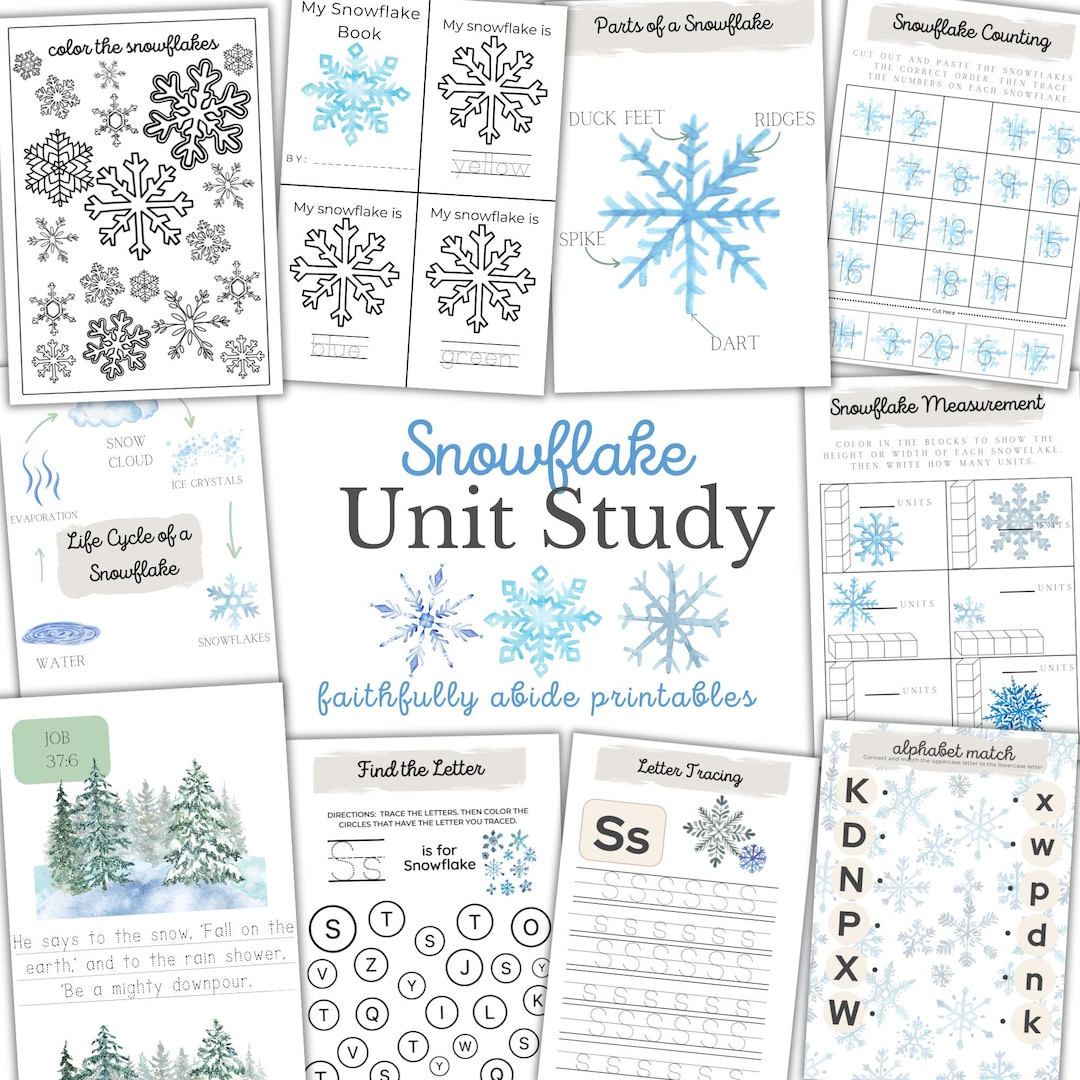 SNOWFLAKE Mini Unit Study, Christmas Printable Worksheets, Homeschool ...