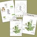FROGS and TOADS Mini Unit Study, Frog Anatomy , Handwriting, Printable ...