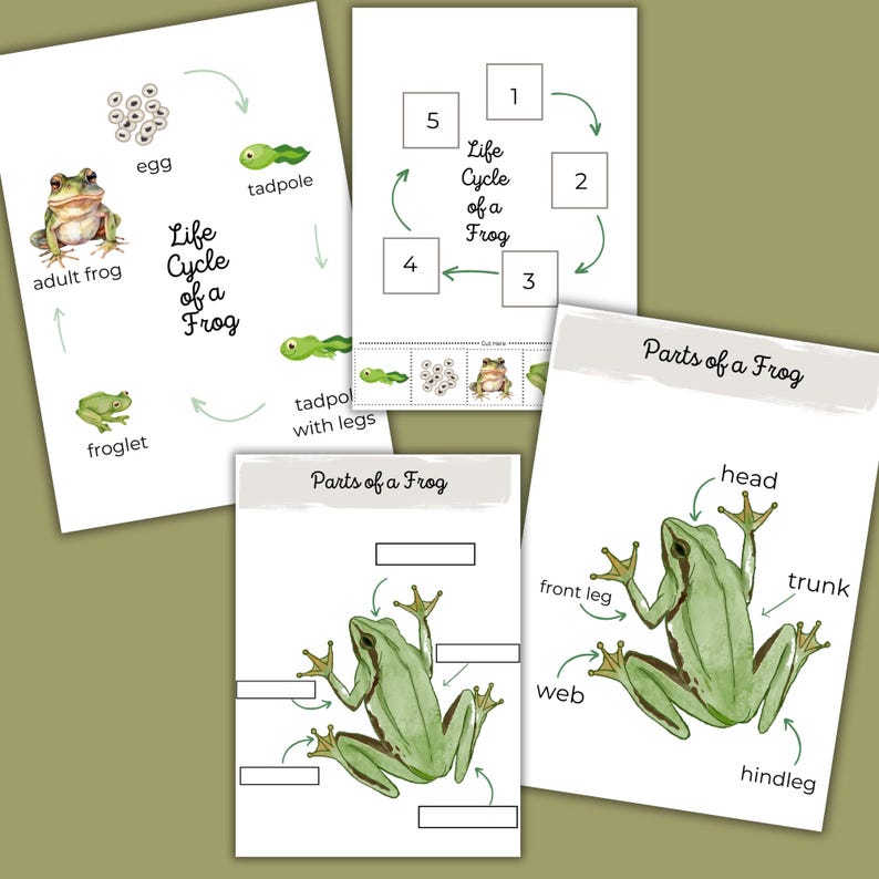FROGS and TOADS Mini Unit Study, Frog Anatomy , Handwriting, Printable ...