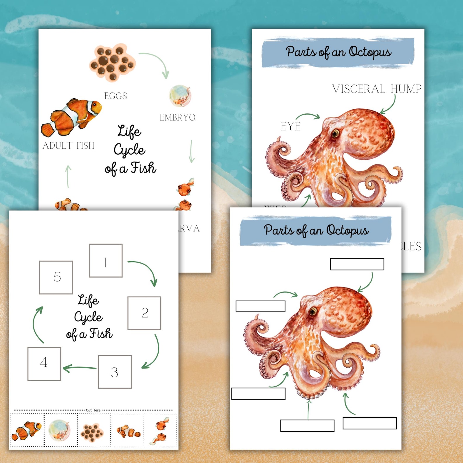 OCEAN Unit Study, Vocabulary, Anatomy, Montessori, Homeschool Printable ...