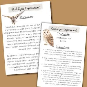 OWL Mini Unit Study, Life Cycle, Anatomy, Nature Study, Science ...
