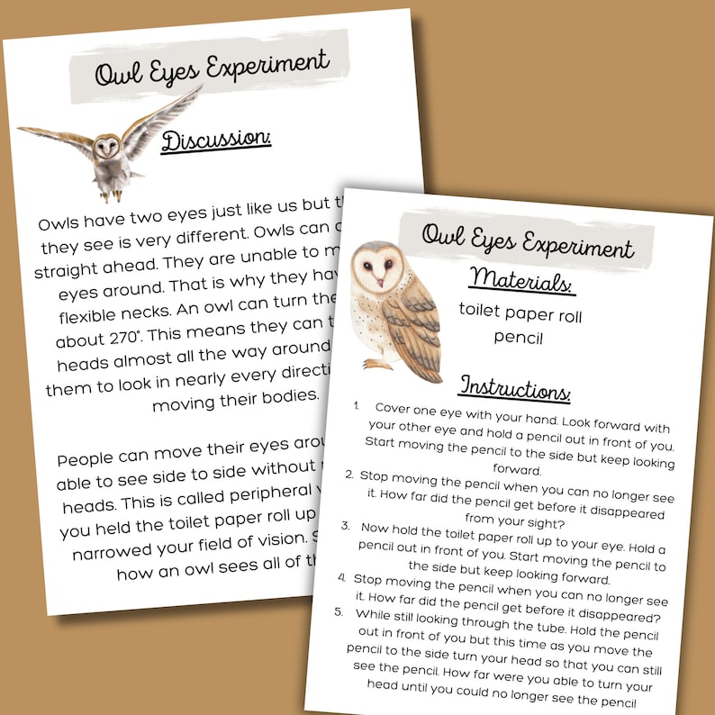 OWL Mini Unit Study, Life Cycle, Anatomy, Nature Study, Science ...