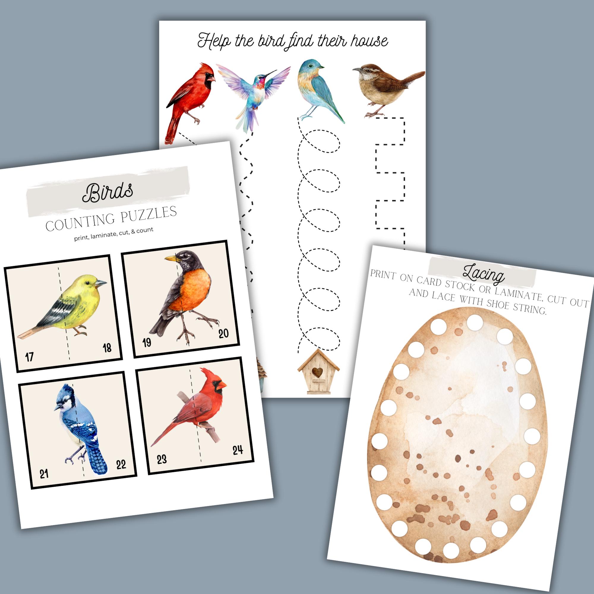 BIRDS Unit Study, Bird Activities, Bird Anatomy, Nature Study ...