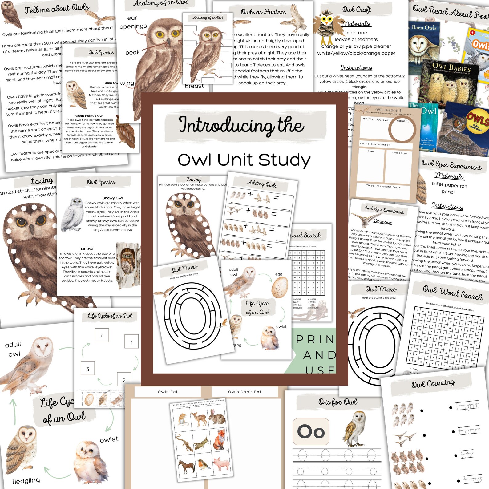 FALL Unit Study, Life Cycle, Anatomy, Nature Study, Science ...