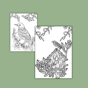 BIRD Mini Unit Study, Bird Activities, Numbers, Nature Study ...