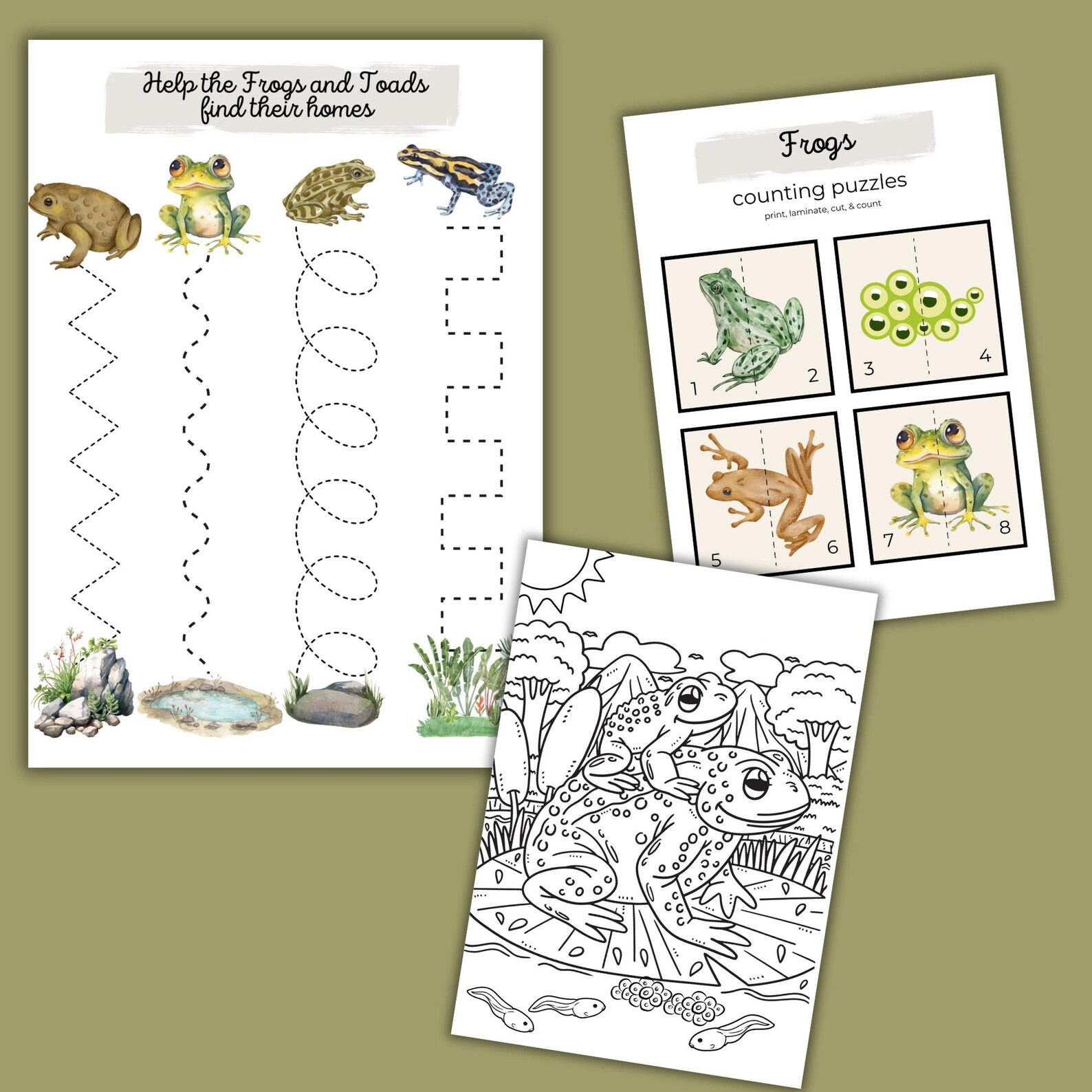 FROGS and TOADS Mini Unit Study, Frog Anatomy , Handwriting, Printable ...