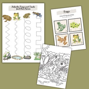 FROGS and TOADS Mini Unit Study, Frog Anatomy , Handwriting, Printable ...