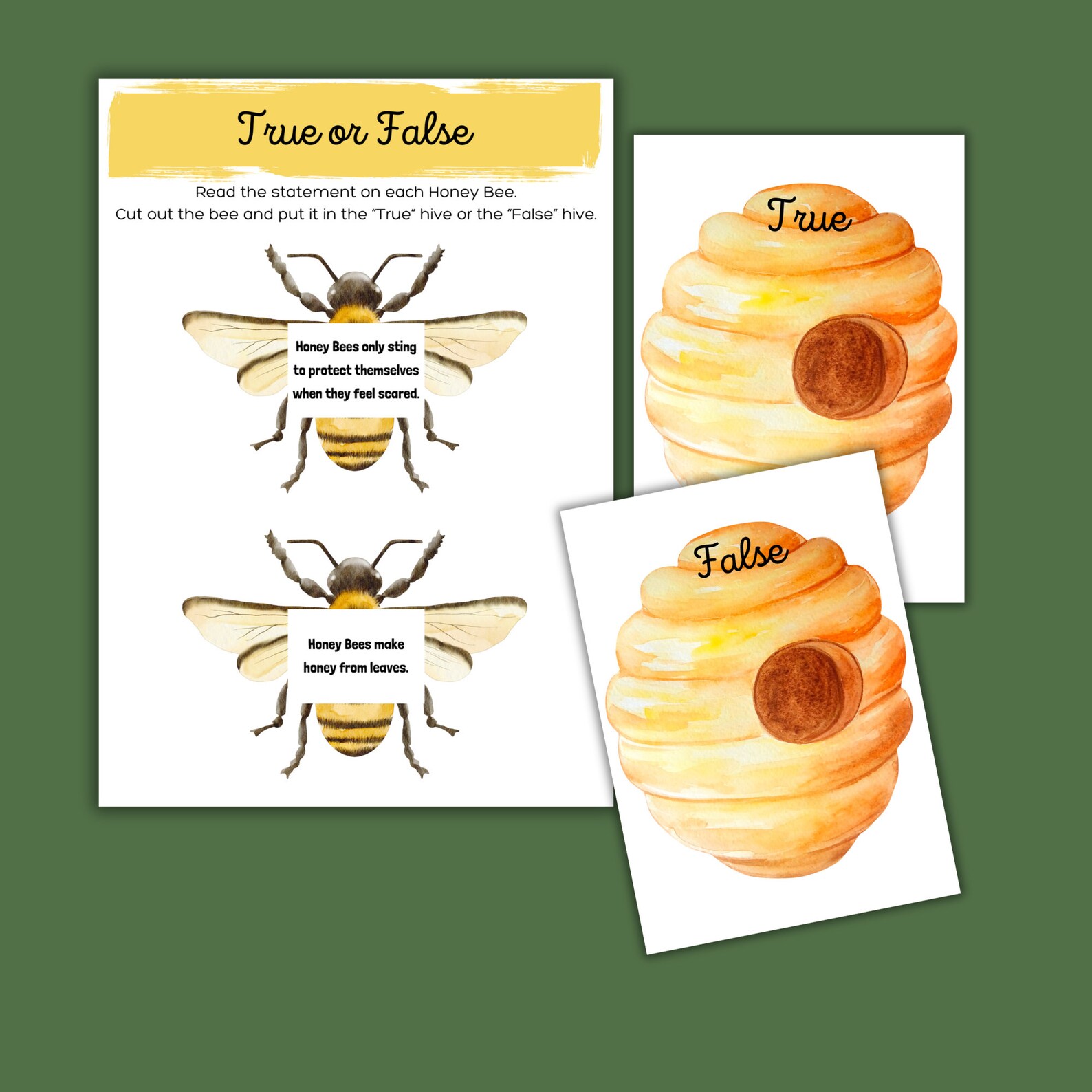 HONEY BEE Unit Study, 2nd to 5th Grade, Life Cycle, Anatomy, Nature ...