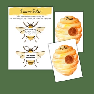 HONEY BEE Unit Study, 2nd to 5th Grade, Life Cycle, Anatomy, Nature ...