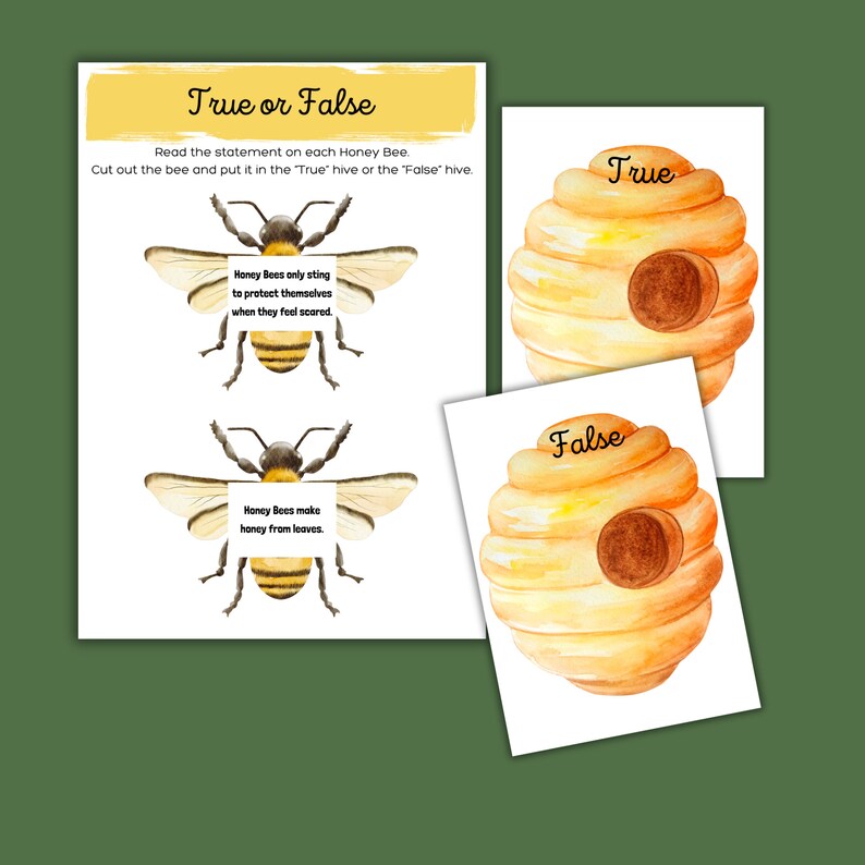 HONEY BEE Unit Study, 2nd to 5th Grade, Life Cycle, Anatomy, Nature ...