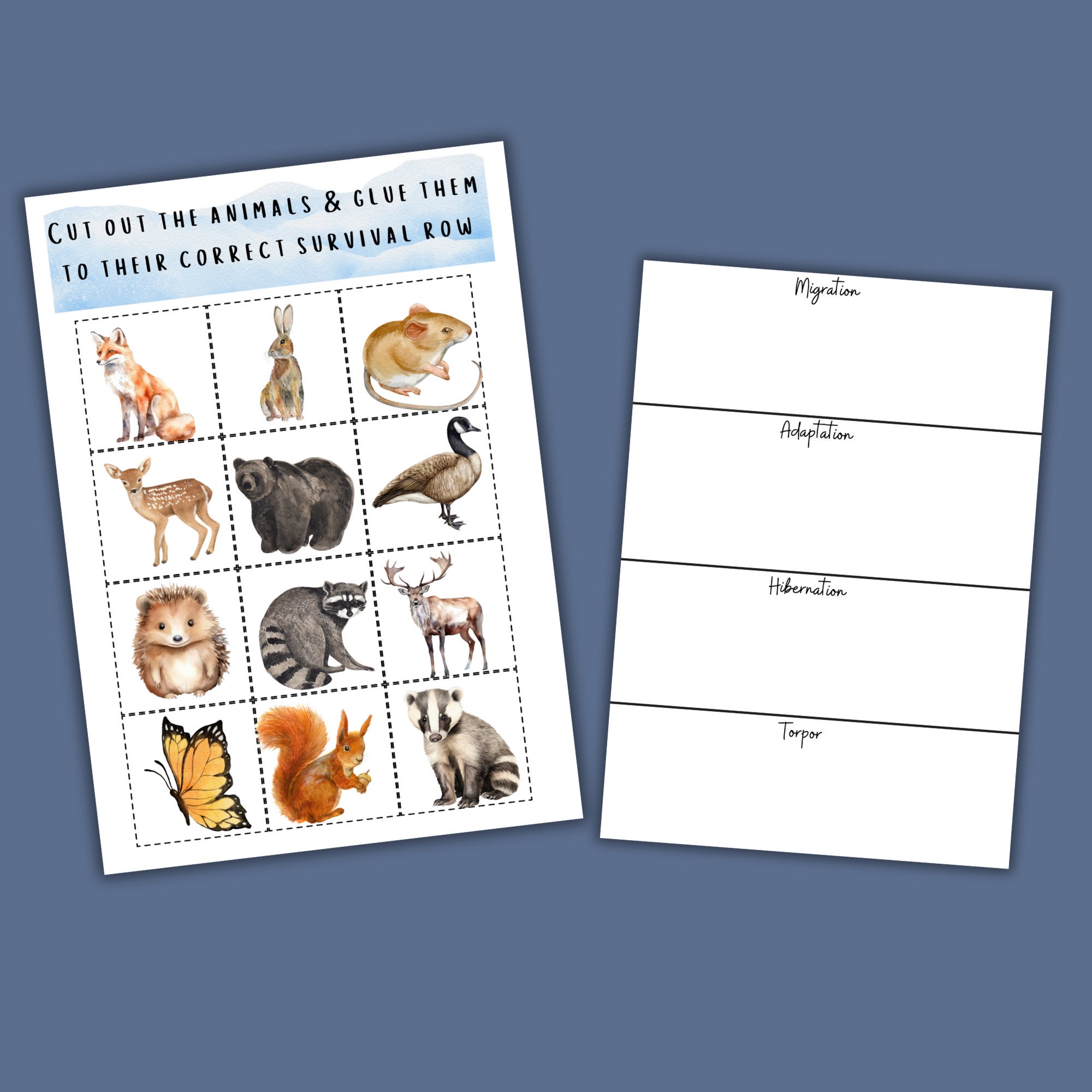 WINTER ANIMALS Unit Study, Vocabulary, Anatomy, Montessori, Homeschool ...