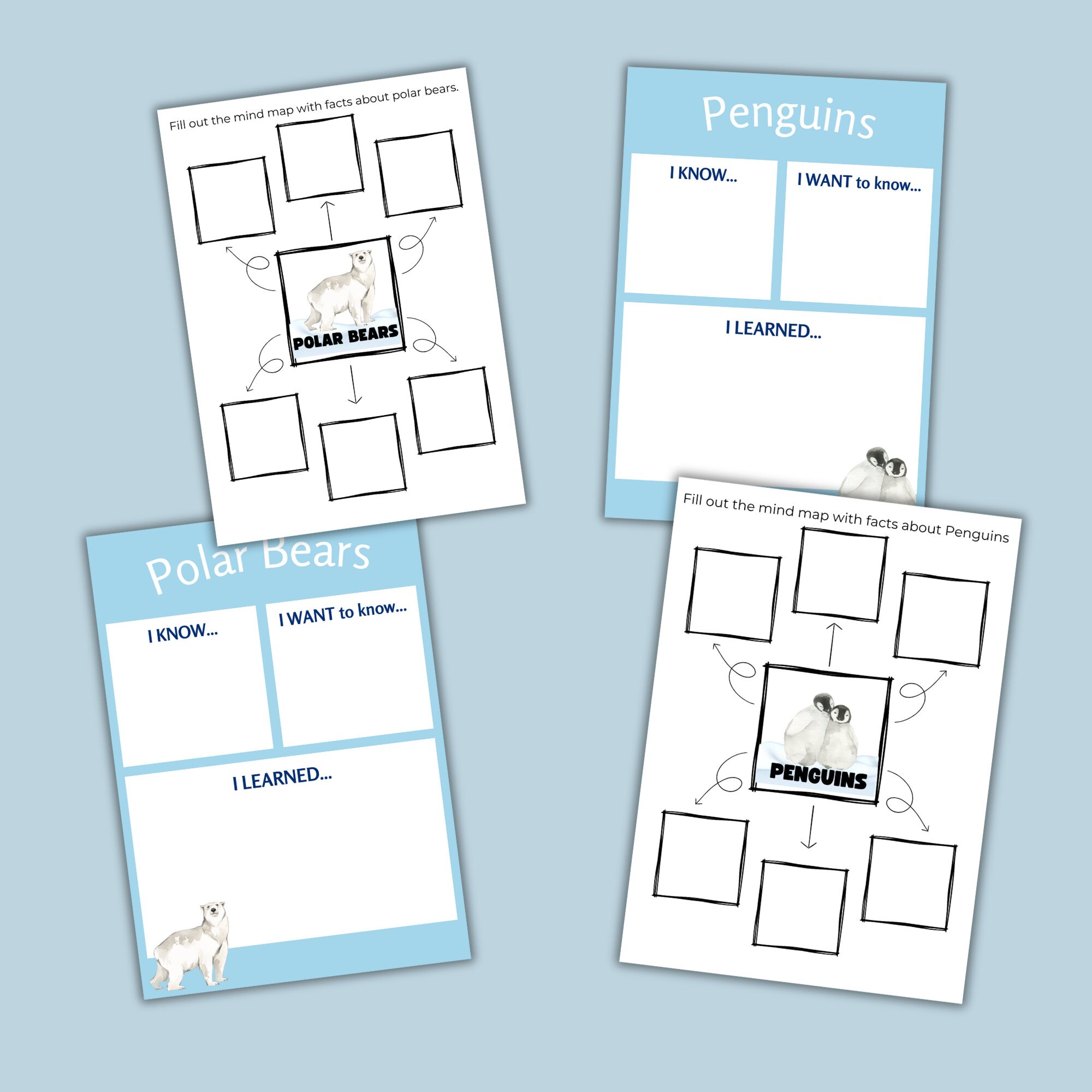 POLAR BEARS and PENGUINS Unit Study, Life Cycle, Montessori, Homeschool ...