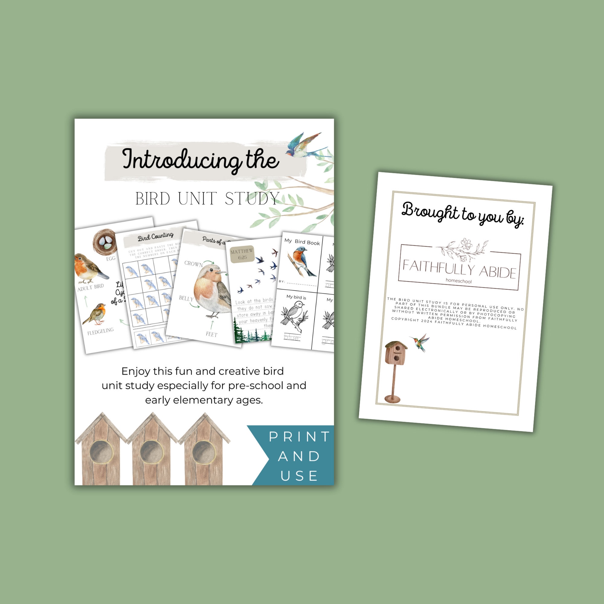 BIRD Mini Unit Study, Bird Activities, Numbers, Nature Study ...